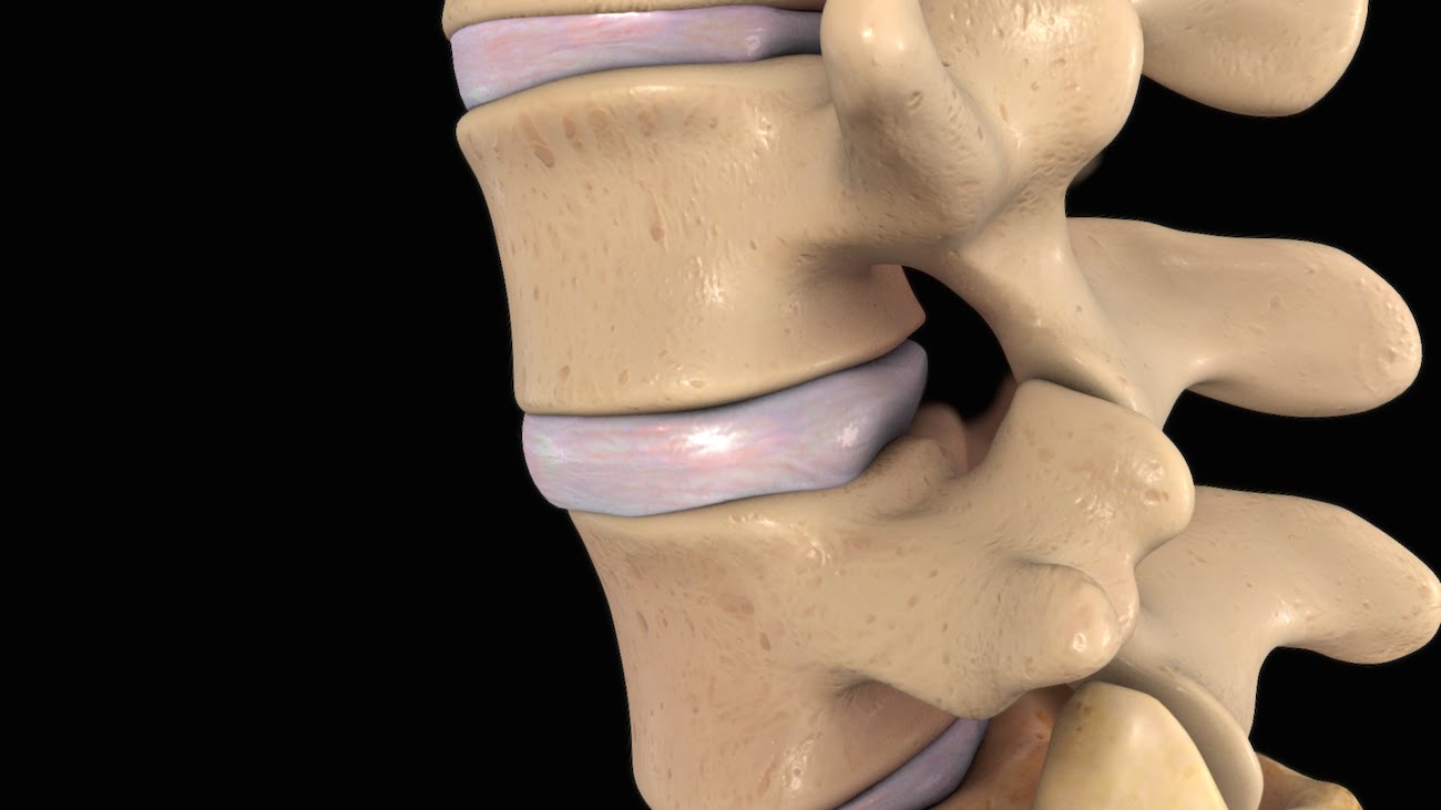 Diagnosing and Treating Disc Conditions for a Healthy Spine | Better ...