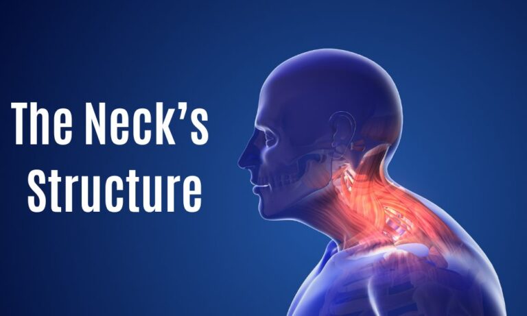 Cervical Degenerative Disc Disease, C5-C6 and C6-C7: Know the Symptoms ...